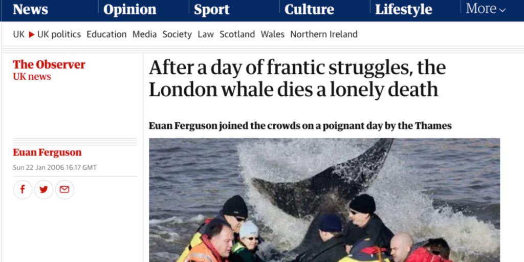 Whales That Made a Mark on the World: The Thames Whale - WeWhale