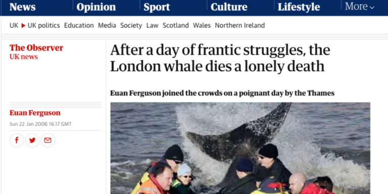 Whales That Made a Mark on the World: The Thames Whale - WeWhale